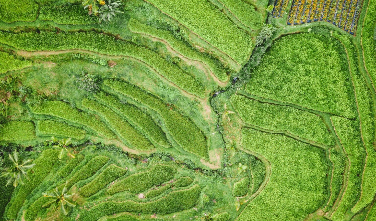 Sådan kan I kommunikere om bæredygtighed - Fairtrade Mærket Danmark