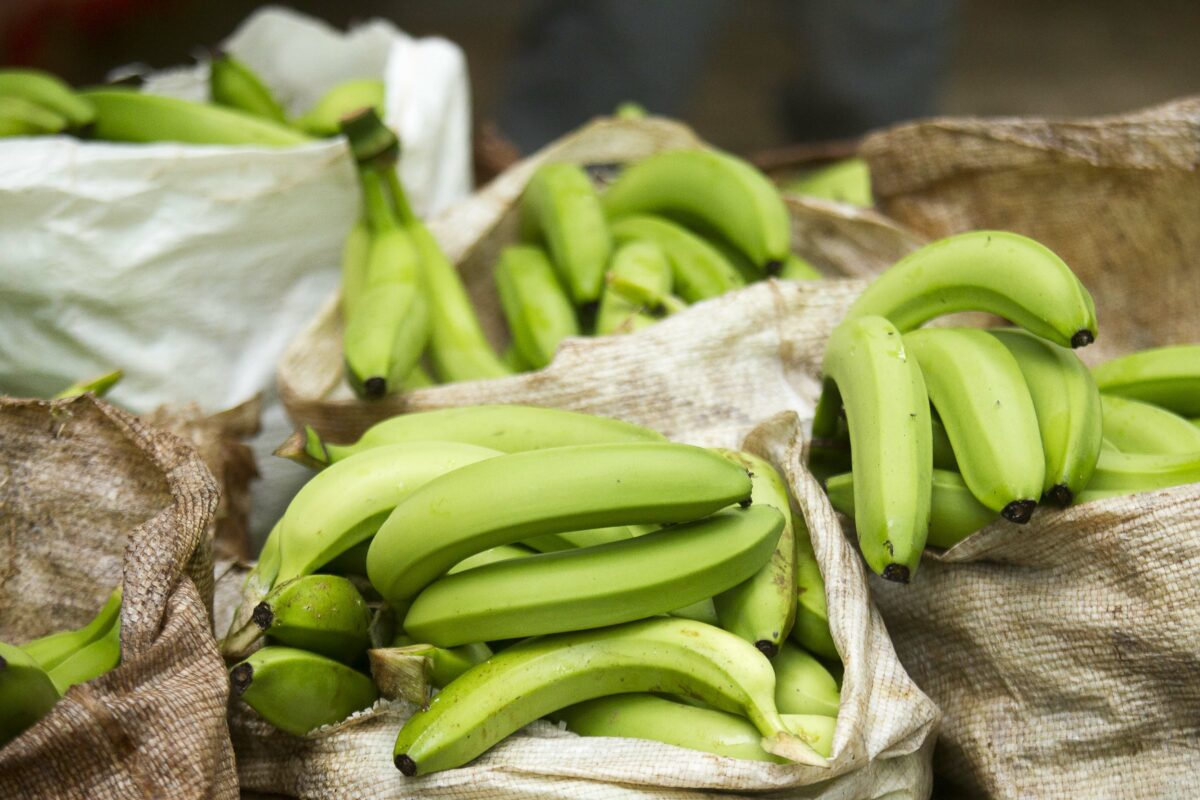 Bananer - Fairtrade Mærket Danmark