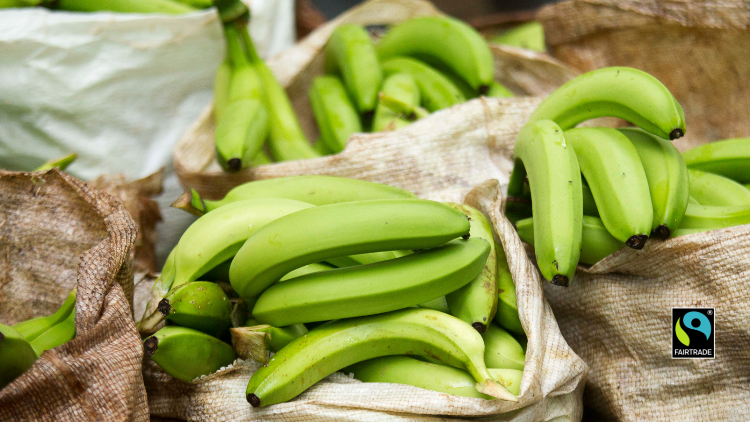 Bananer - Fairtrade Mærket Danmark